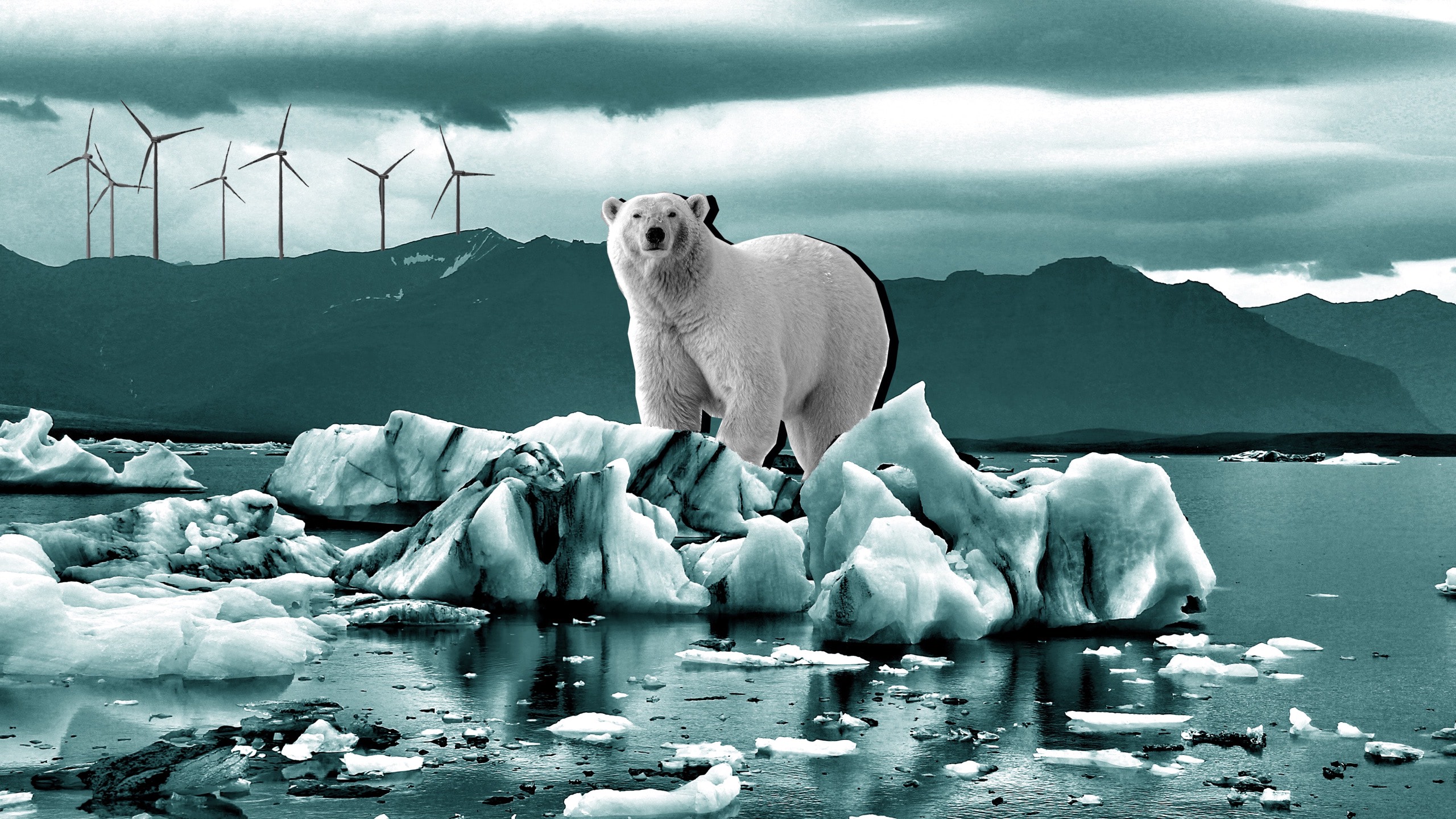 气候变化与资源紧缩 – Sydney Business Insights (SBI)