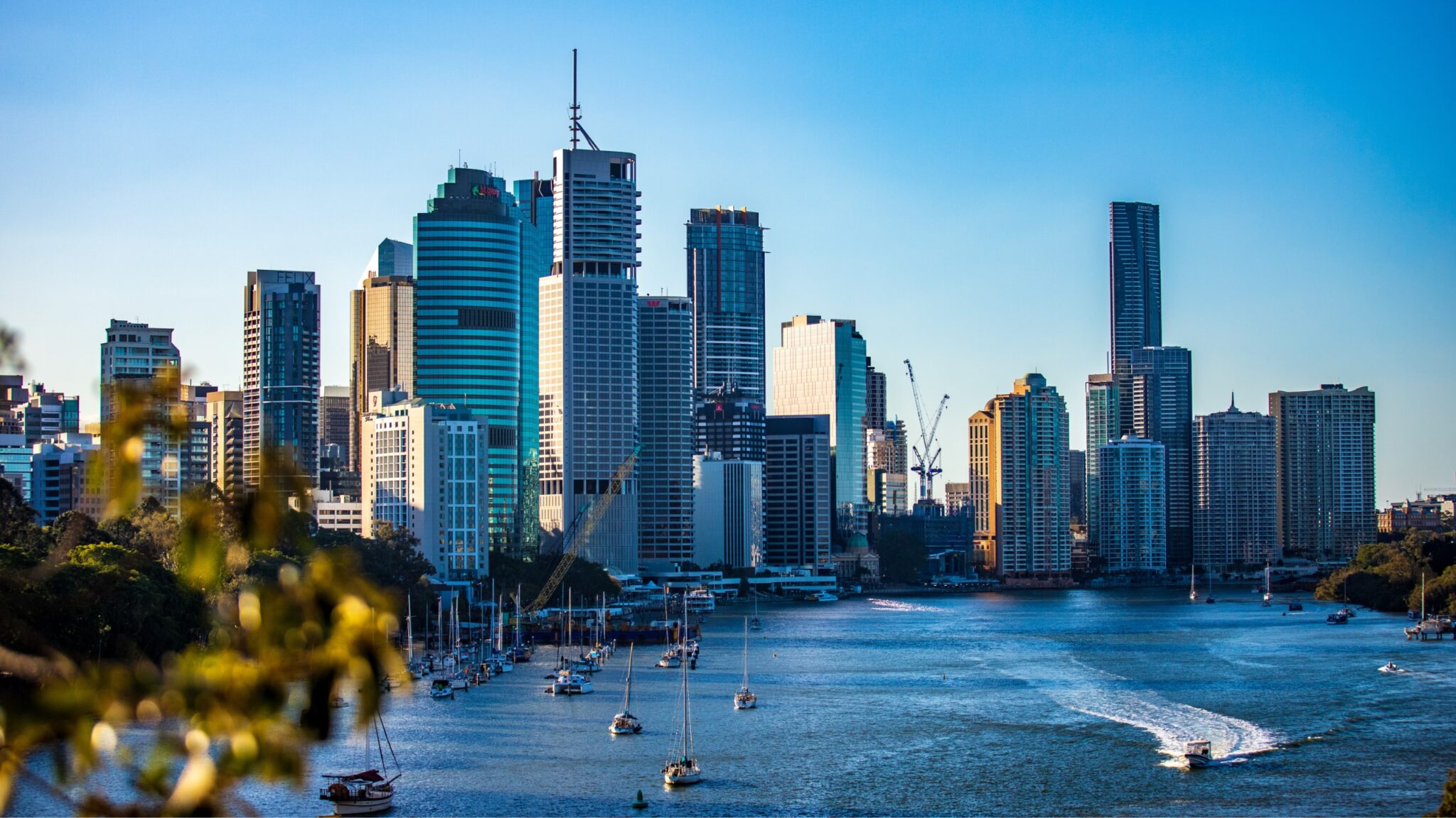 Rapid urbanisation – Sydney Business Insights (SBI)