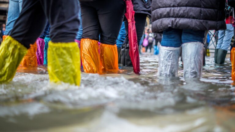 Rapid urbanisation – Sydney Business Insights (SBI)