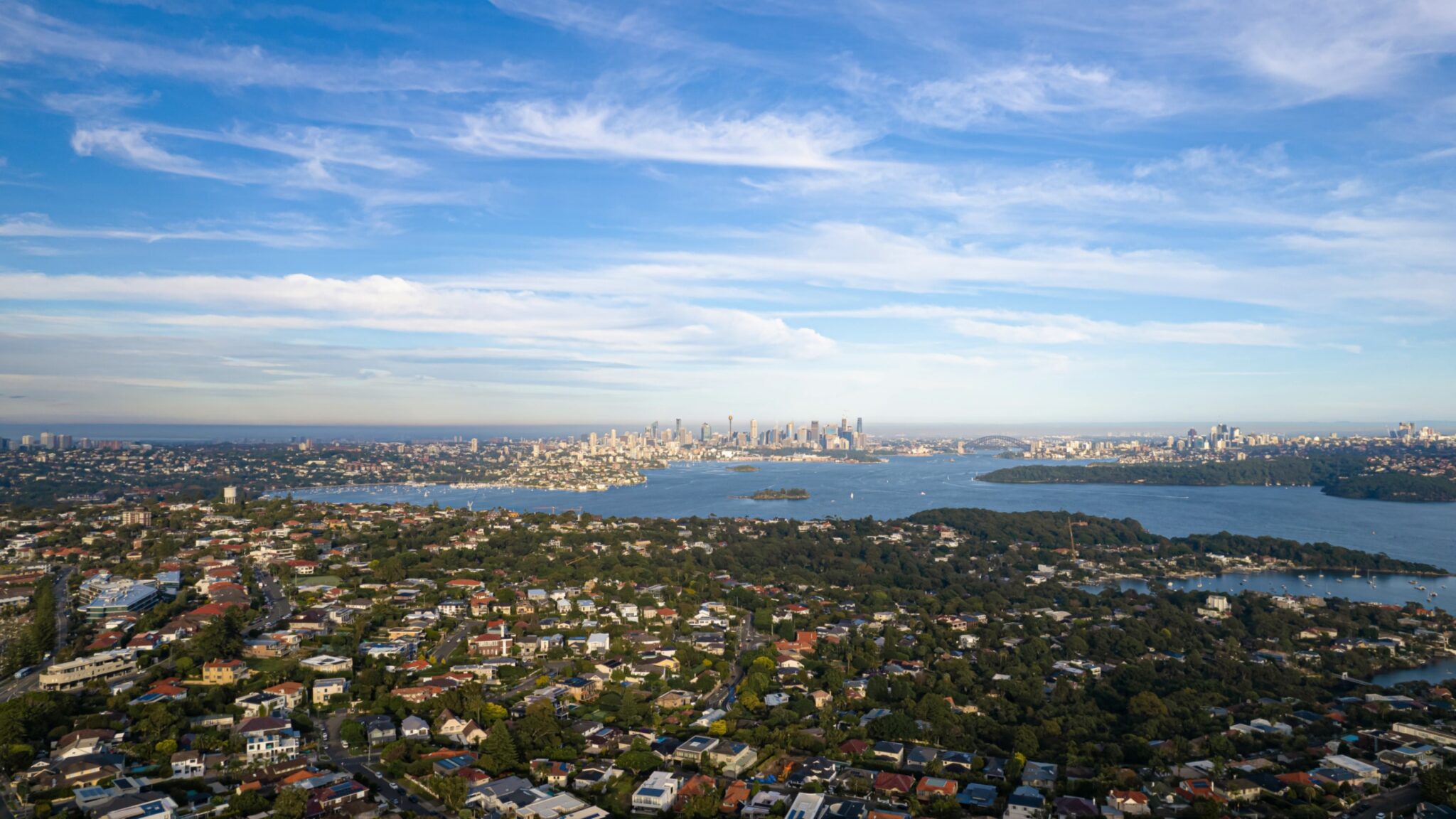 Rapid urbanisation – Sydney Business Insights (SBI)