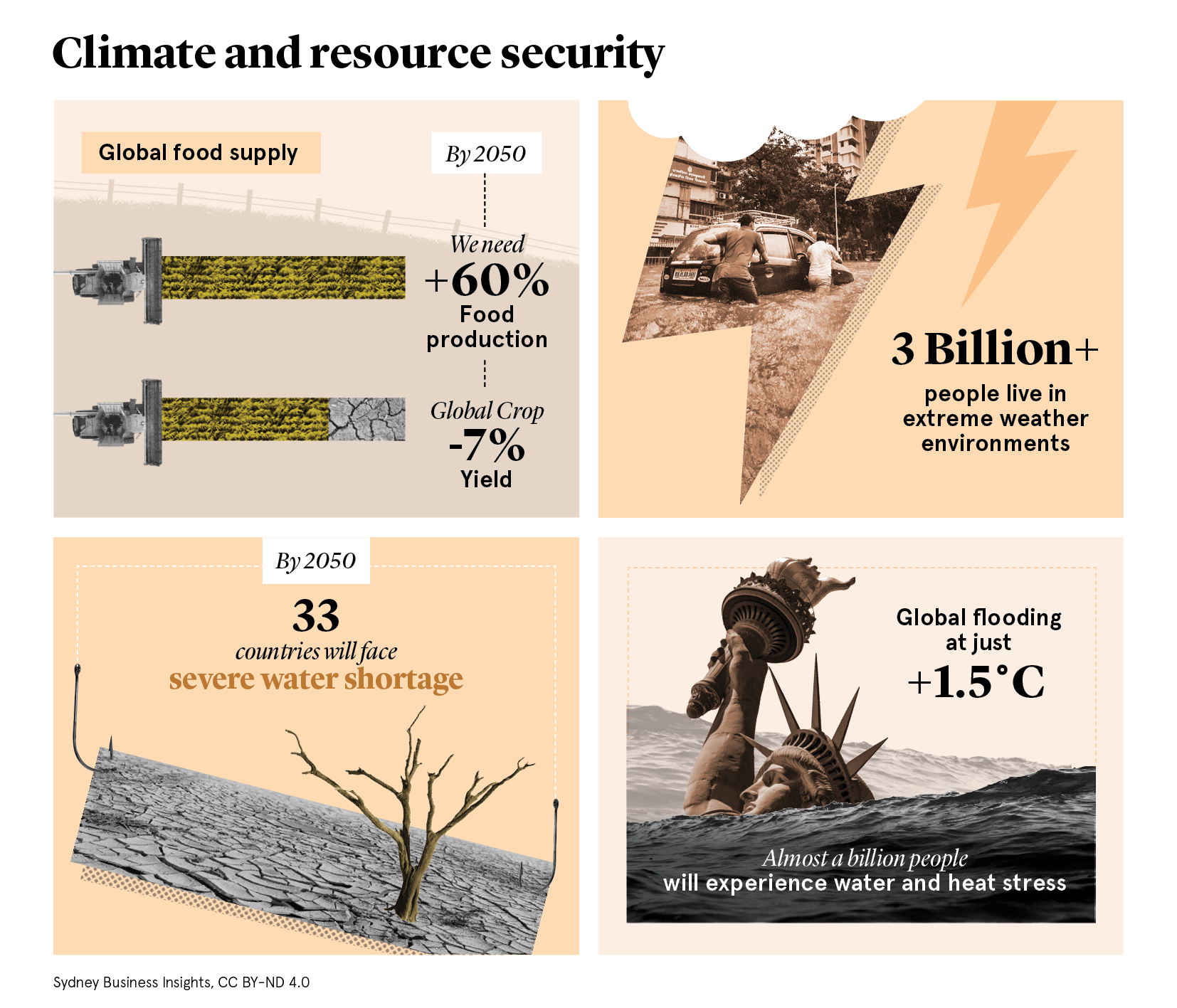 Climate and resource security – Sydney Business Insights (SBI)